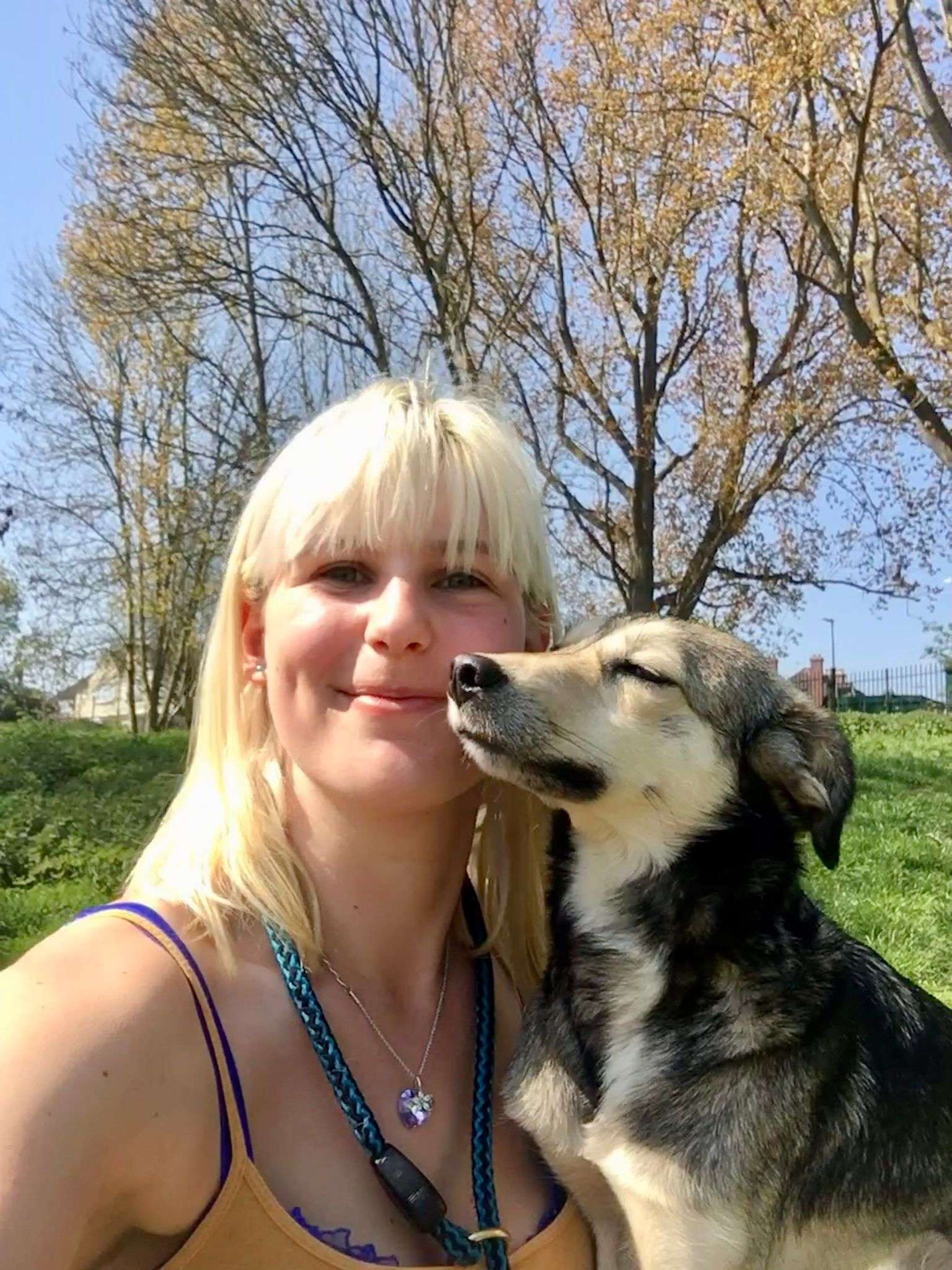 Dog Trainer Kent & Essex - Professional Dog Training